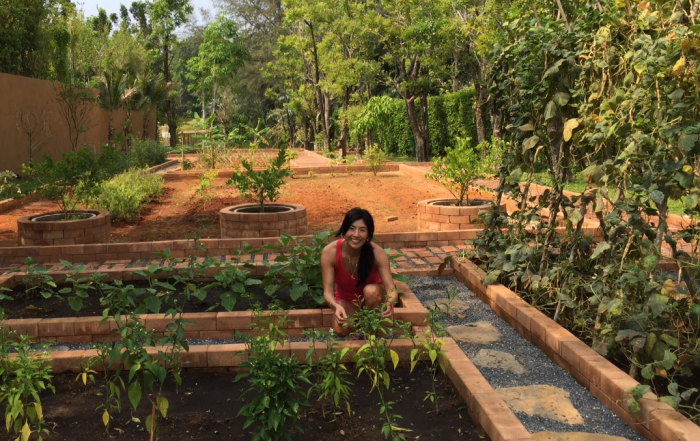 Ani’s Raw Food Essentials – Ani Phyo: Wellness, Raw Food, & Detox Expert