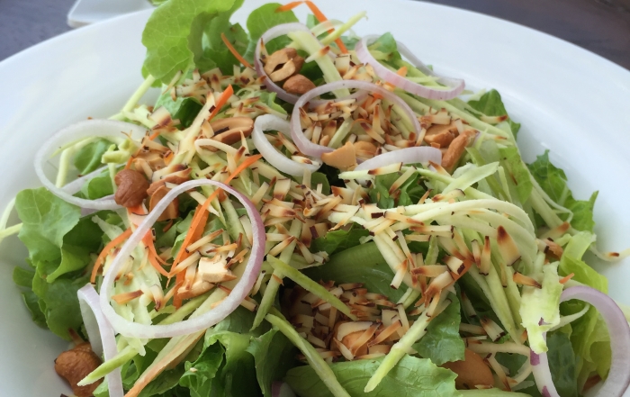 RECIPES – Ani Phyo: Wellness, Raw Food, & Detox Expert